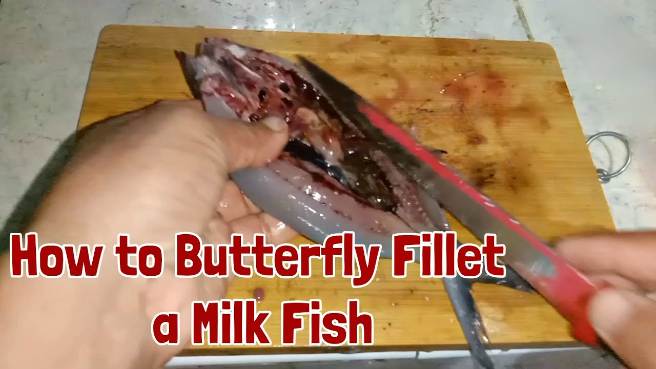 How to Butterfly Fillet a Milkfish - YouTube