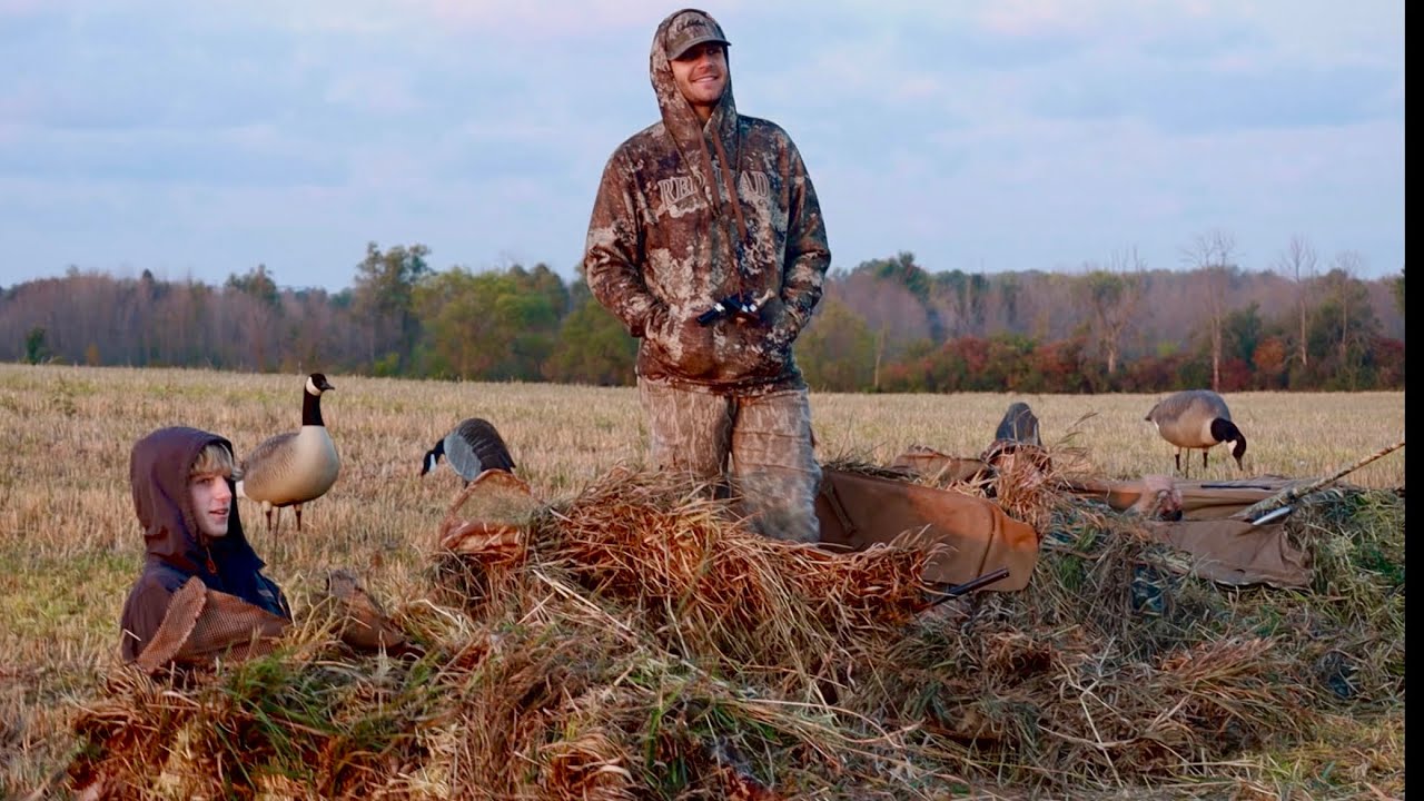 Goose Hunting Cut Wheat Field - YouTube