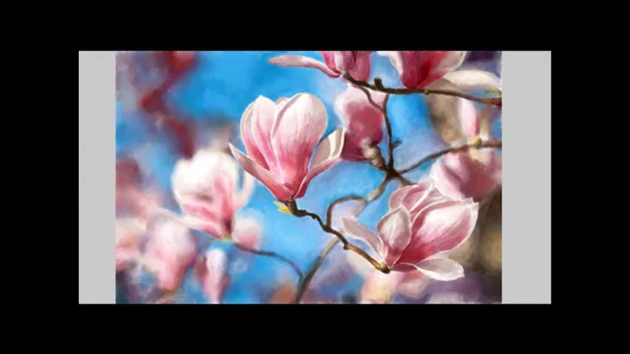 flower speed drawing - YouTube