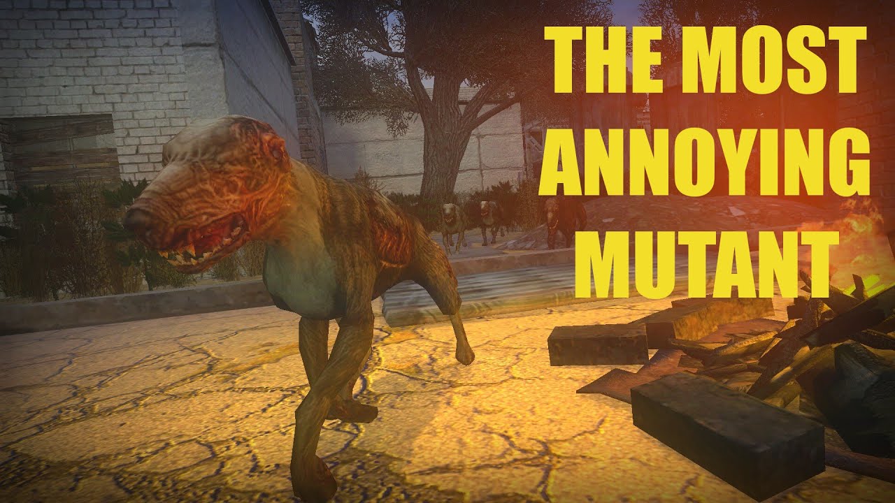 STALKER Lore - Blind Dogs, Pseudodogs, Psydogs - YouTube