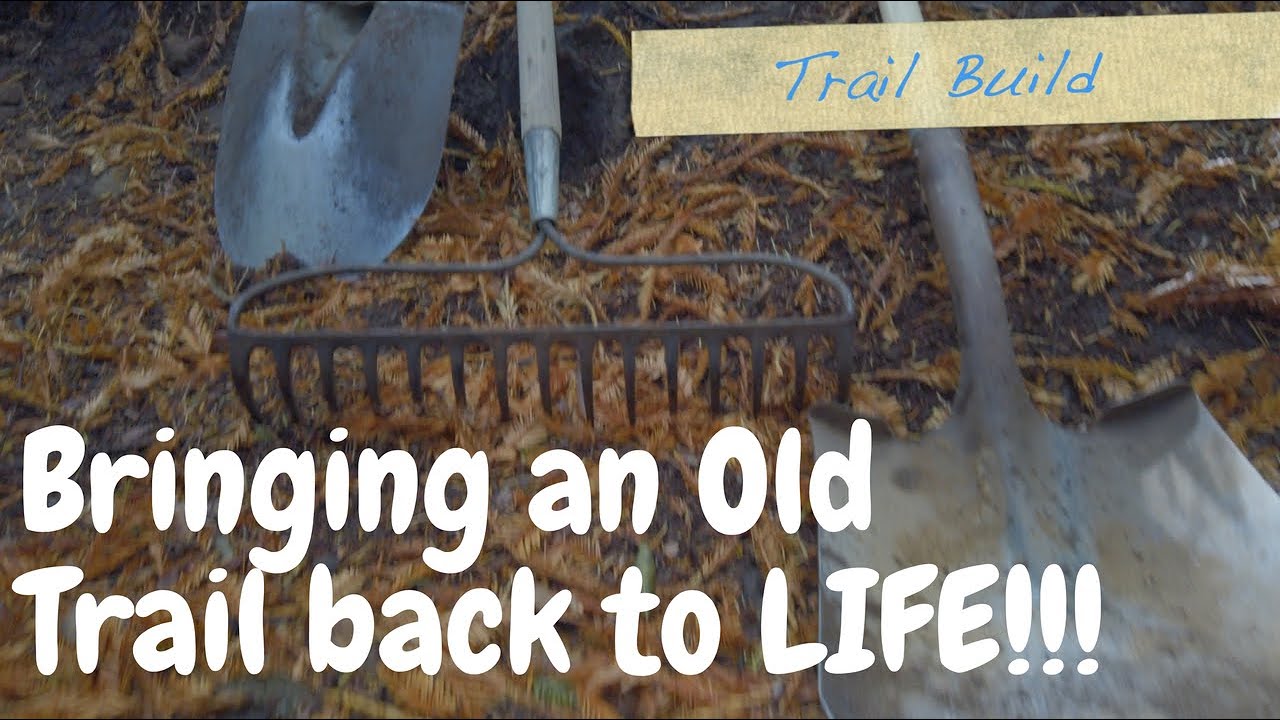 Dig Day | MTB Trail Building - YouTube