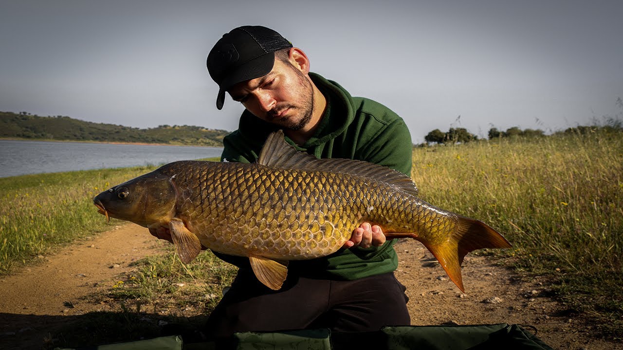 Carpfishing 2019 // Alqueva en Navidades HD - YouTube