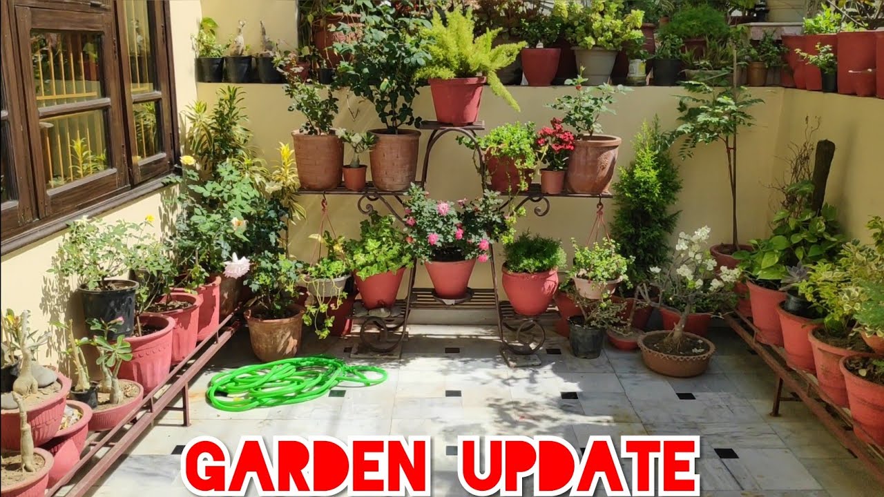 Garden update, garden overview, garden topview, garden tour, grounfloor ...