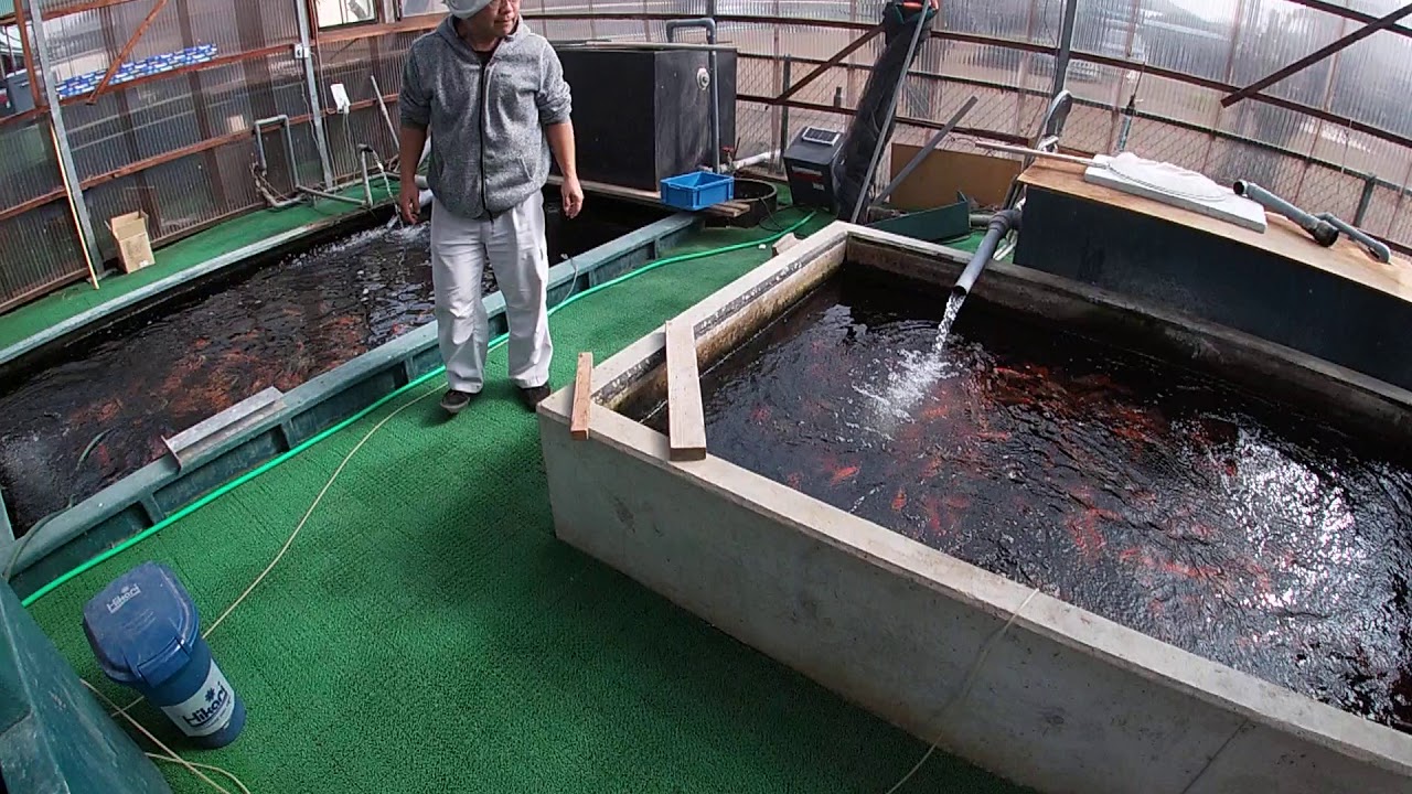 Minuma 2-14-20 Part 1 - YouTube