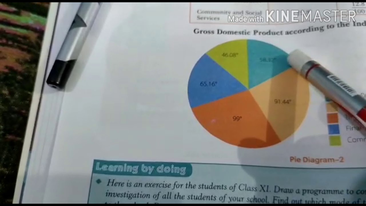 Class 11,Pie diagram - YouTube