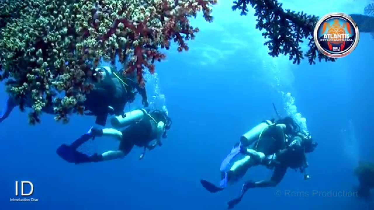 Introduction Dive by Atlantis International Bali - YouTube
