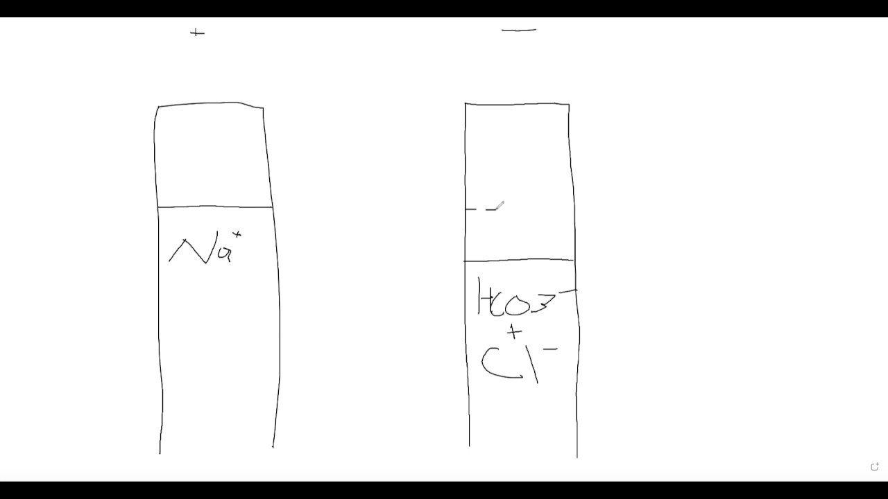 Anion Gap explained simply - YouTube