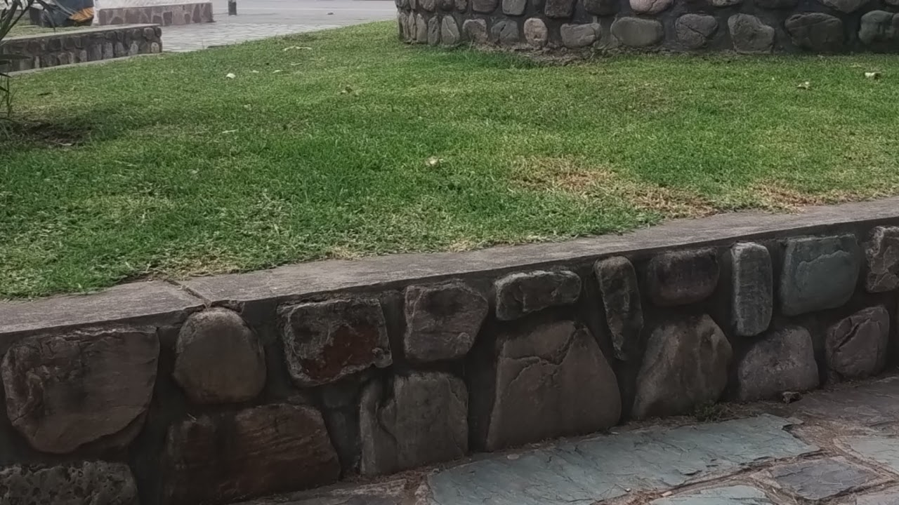 CANAL 24 IMPACTO CELESTIAL TV - YouTube