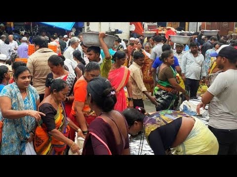 SURAT FISH MARKET | फिश मार्केट | Indian Fish Market | Saqib Hunerkar ...