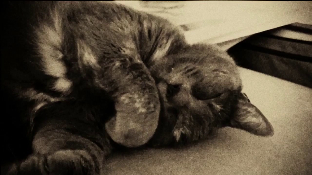 Homage à Andy Warhol's "Sleep" - YouTube