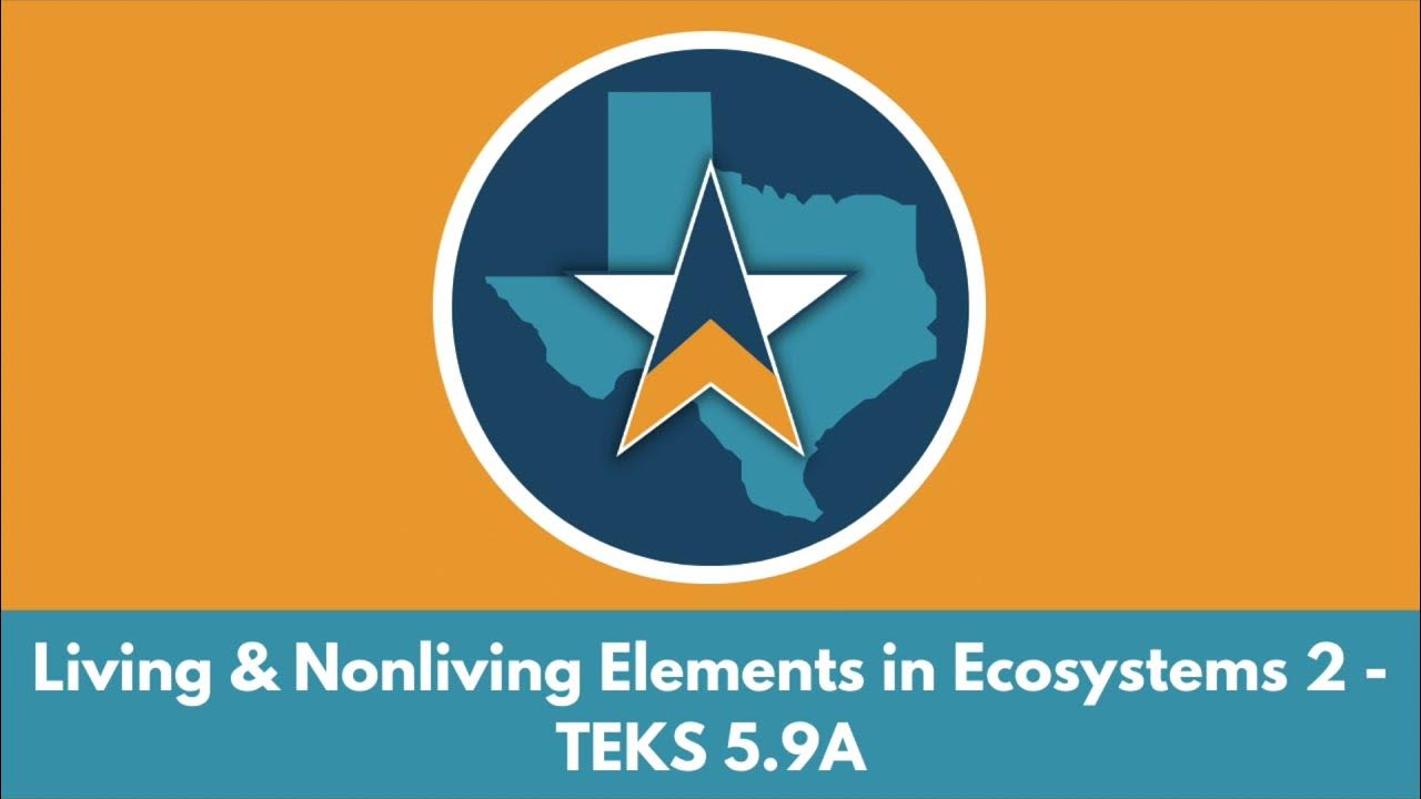 5th Grade Science STAAR Test Review - Living and Nonliving Elements in ...
