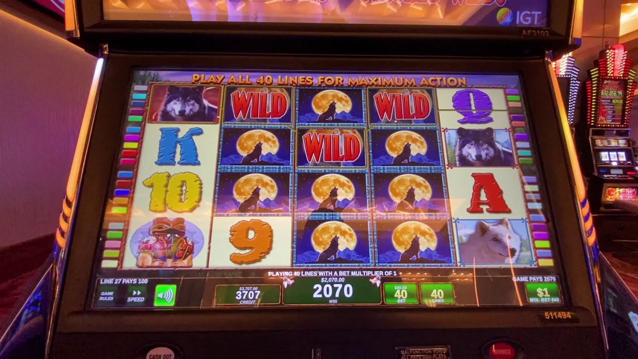 HIGH LIMIT BACK TO BACK WOLF RUN JACKPOT - YouTube