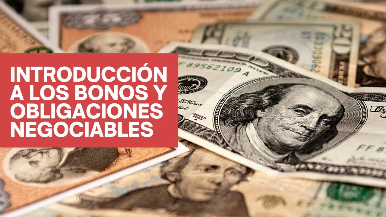 Introducción a BONOS y OBLIGACIONES NEGOCIABLES | Tutorial BÁSICO ...