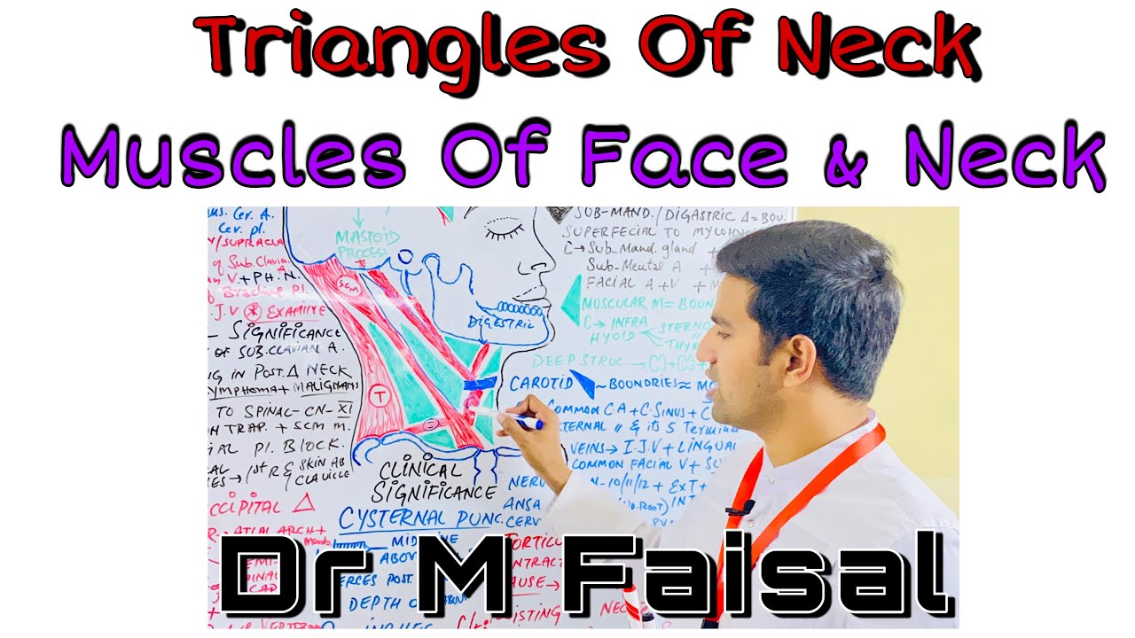 Muscles of Head, Neck & Face + Triangles of Neck Dr. M Faisal #mbbs # ...
