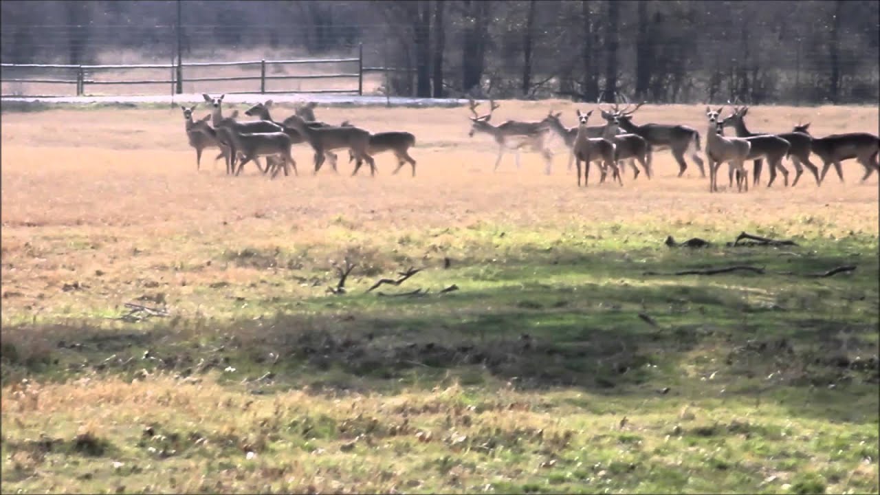 Double B River Ranch - YouTube