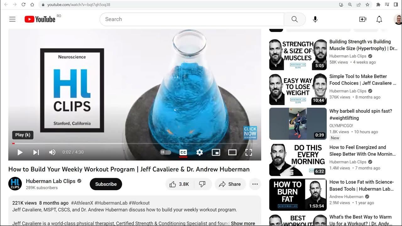 Summarize any YouTube video in any language using OpenAI API and Python (ChatGPT or GPT-4) - YouTube