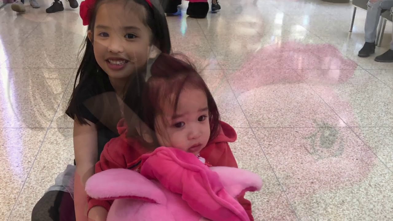 Stuffy Riders - Plush Animals Rider - YouTube