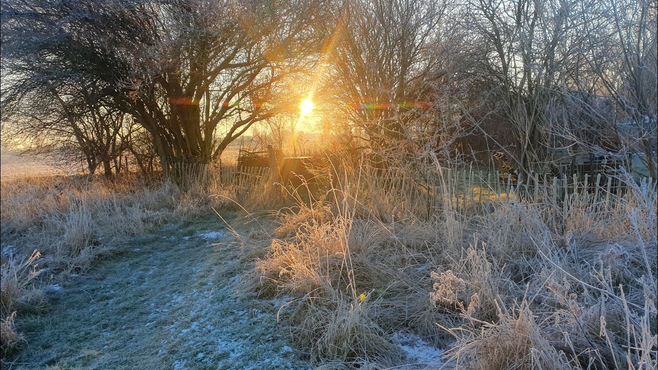 Intuitive White Elf - YouTube