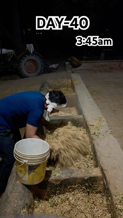 DAY-40 : 40/365.. पुरुषार्थ💯 ️🙏 #dailyroutine #morningroutine #bandeyareybandeya #minivlog # ...