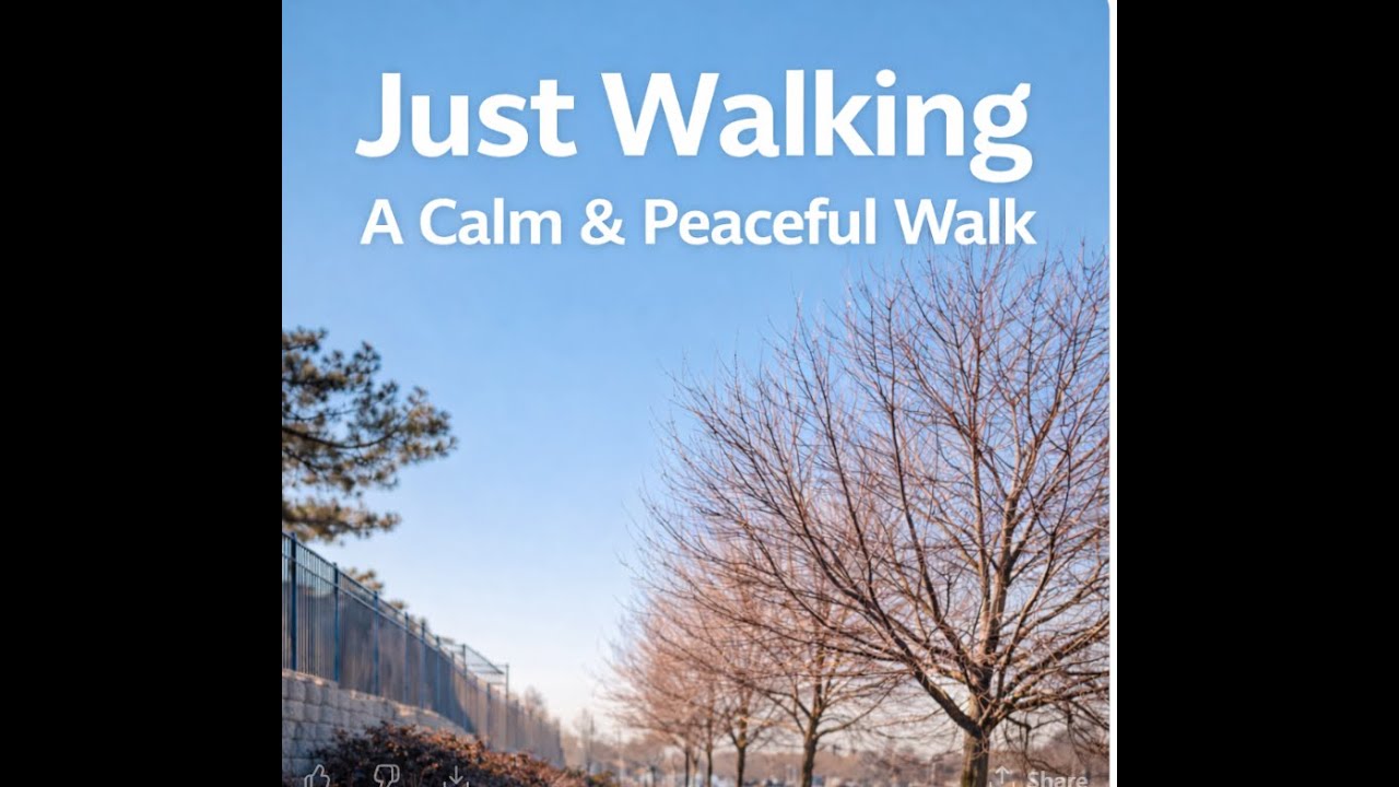 Calm Walking Video | Peaceful & Relaxing Nature Walk - YouTube