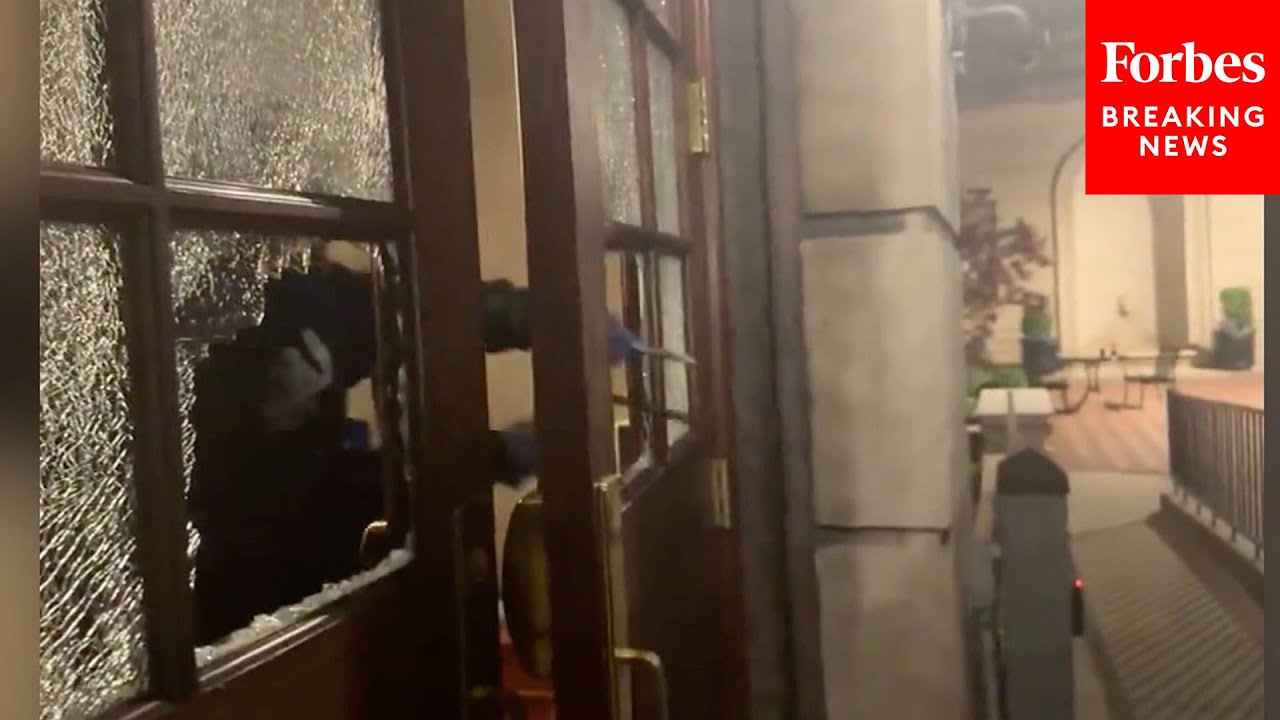 SHOCK VIDEO: Pro-Palestinian Protesters Breach And Take Over Building ...