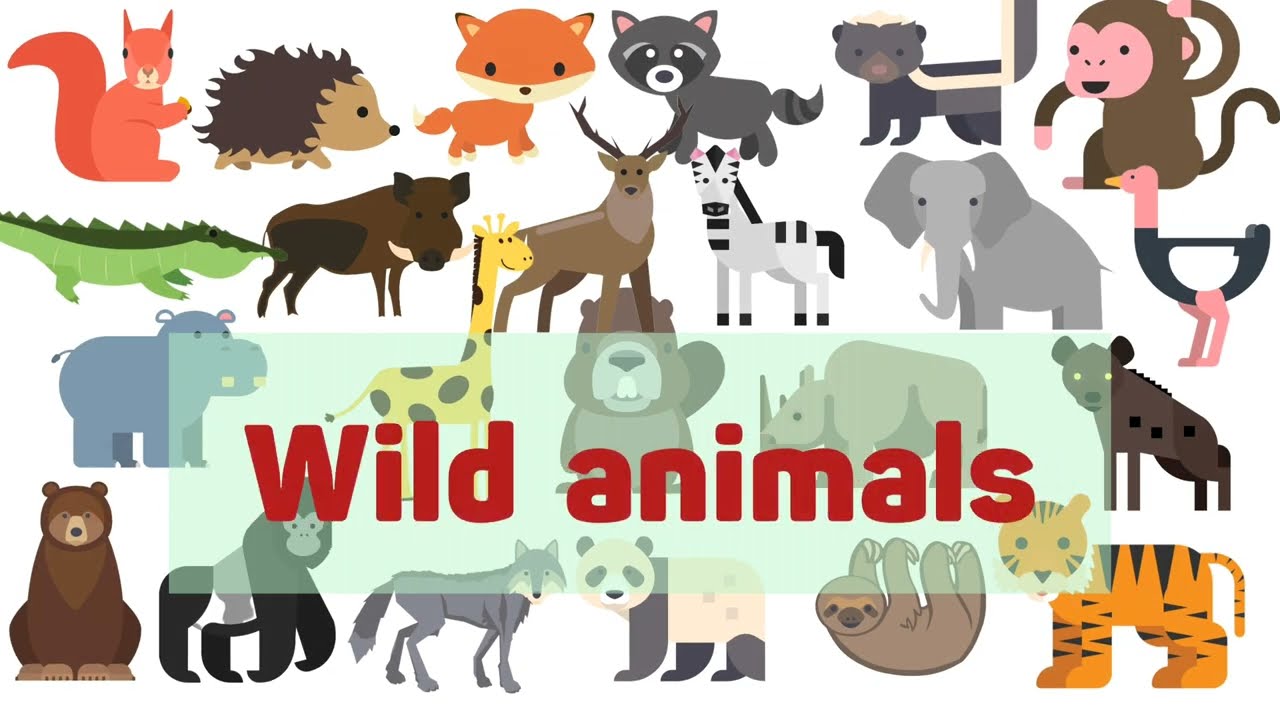 Wild Animals Clipart For Kids