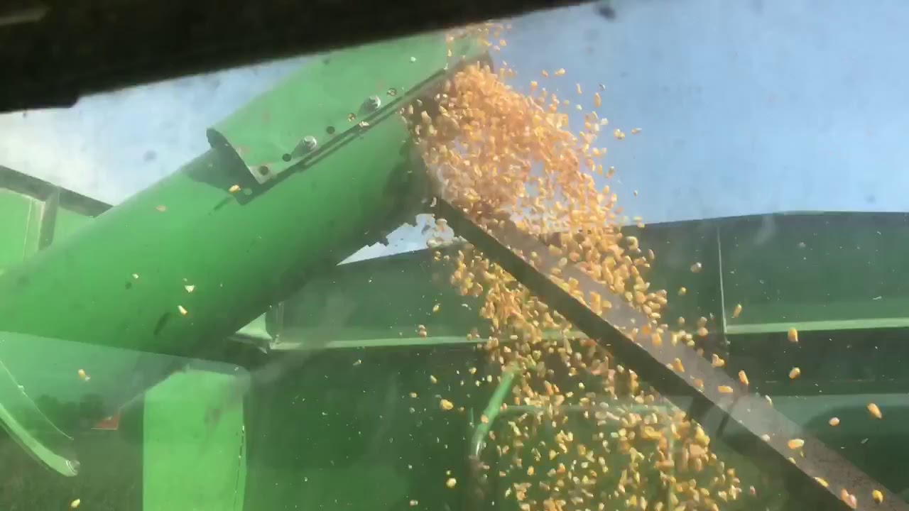 Corn Field @ Champaign IL - October 2017 - YouTube