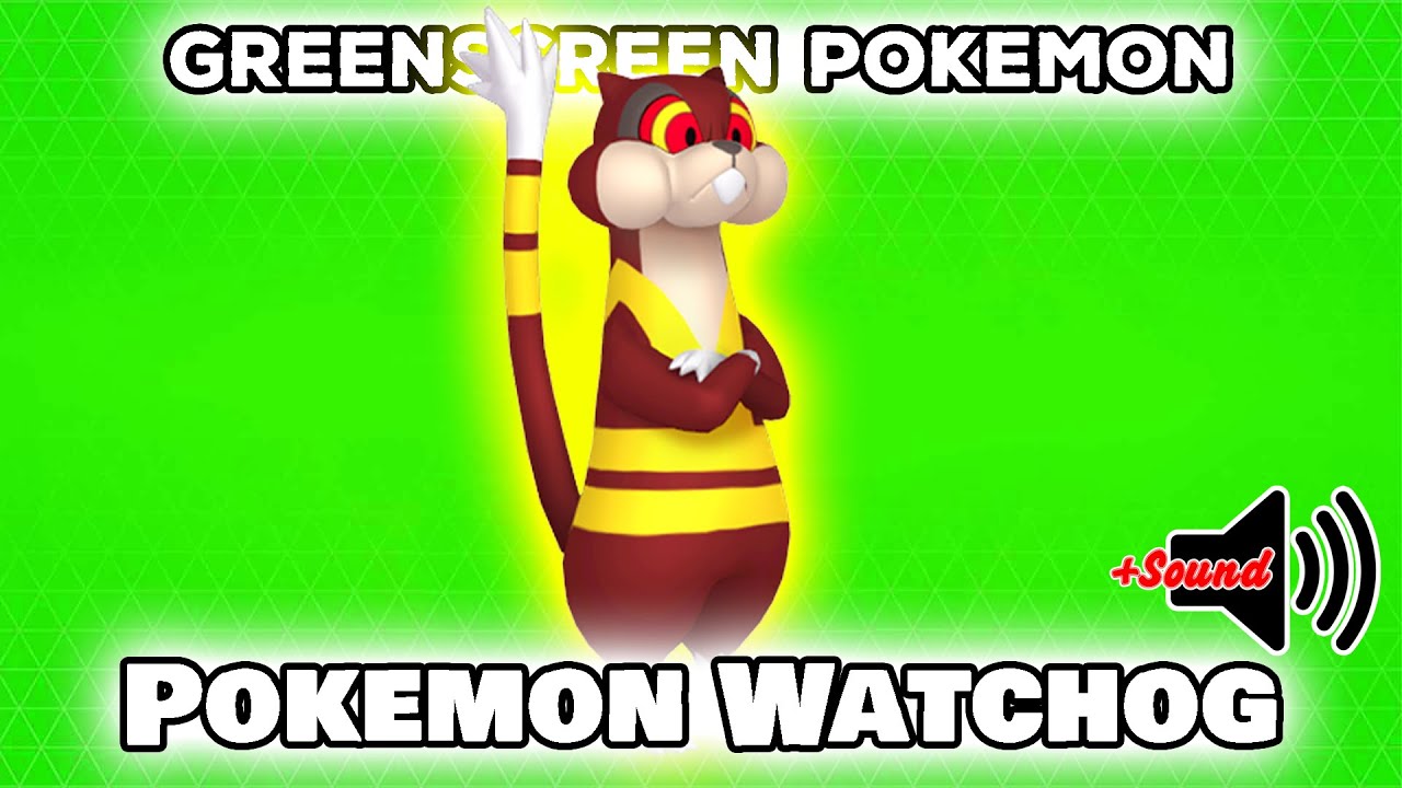 Pokemon Watchog | GreenScreen | Pokémon GO | 👍POGOTUBE - YouTube