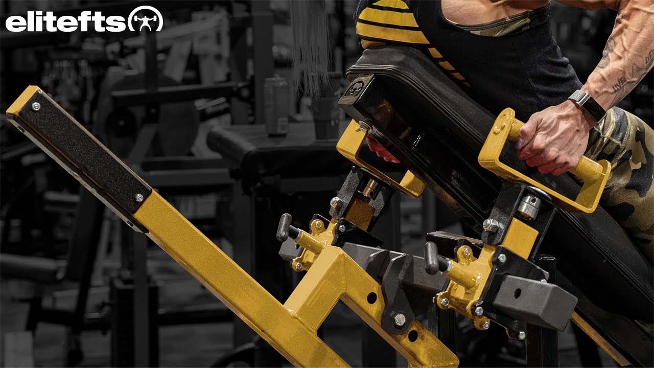 Introducing Your NEW Favorite Back Accessory | elitefts.com - YouTube