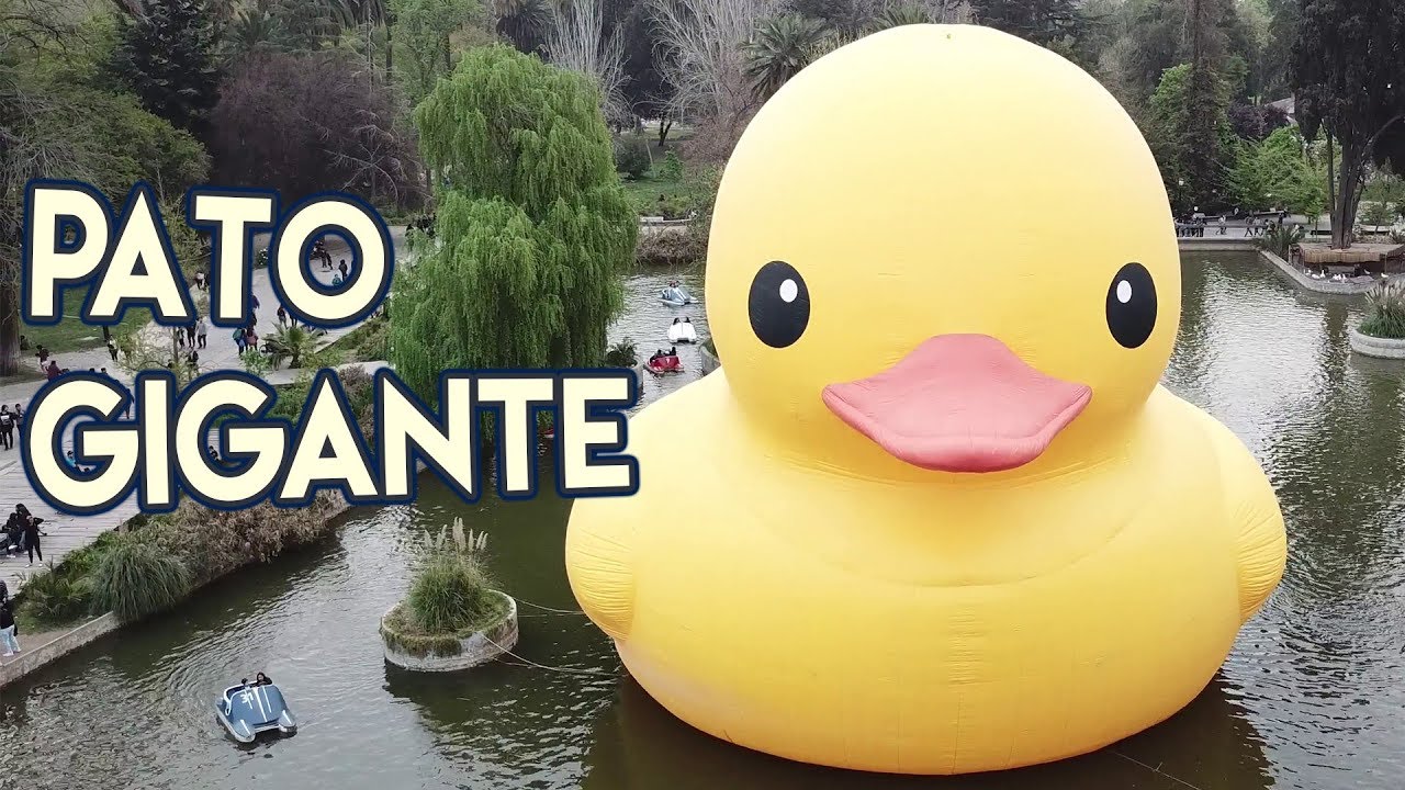 EL PATO DE HULE MÁS GRANDE DEL MUNDO - HECHO EN CASA FEST | SebaCEE ...