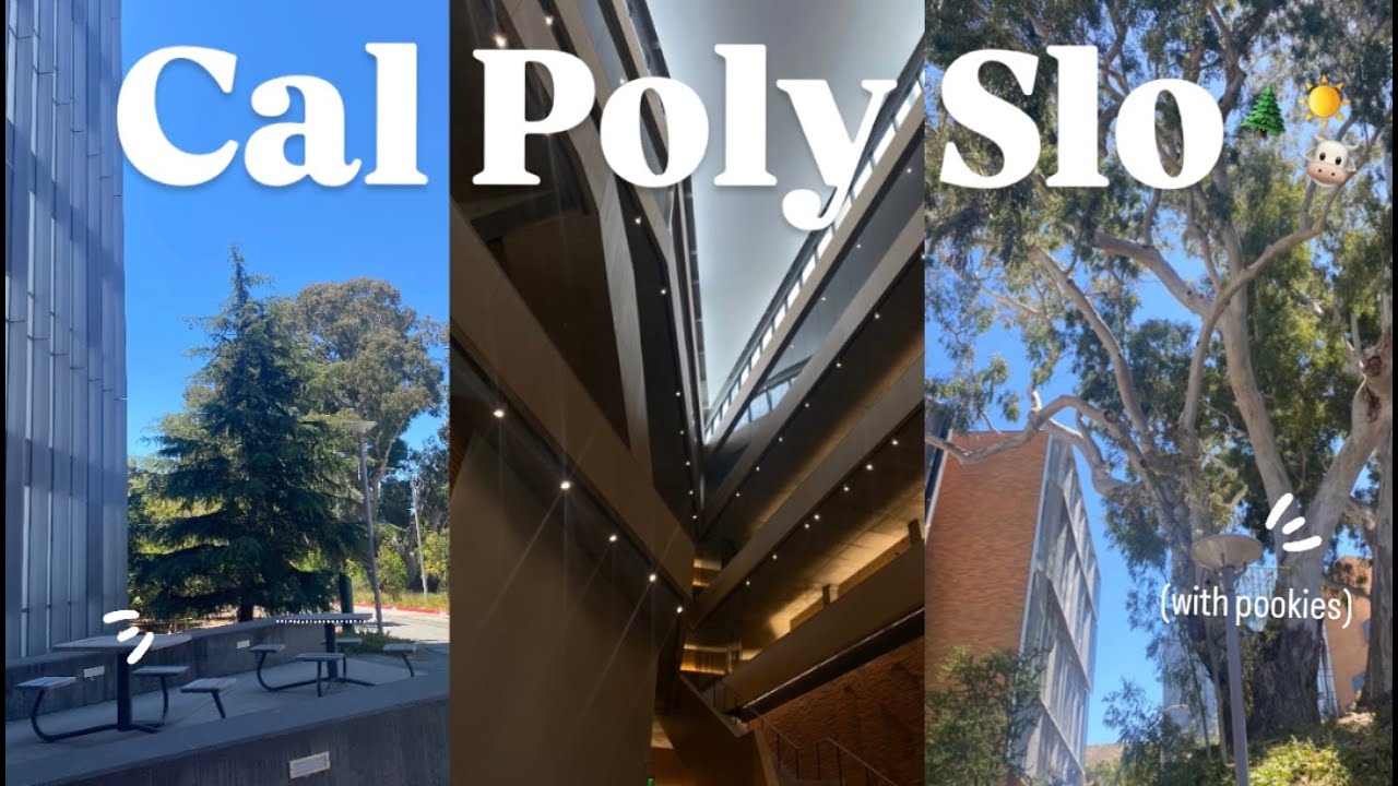 COLLEGE VLOG: VISITING CAL POLY SLO! (chaotic) - YouTube