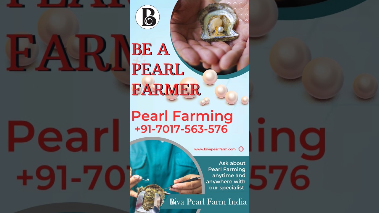Pearl Farming Training for export quality pearls by Biva Pearl Farm ...