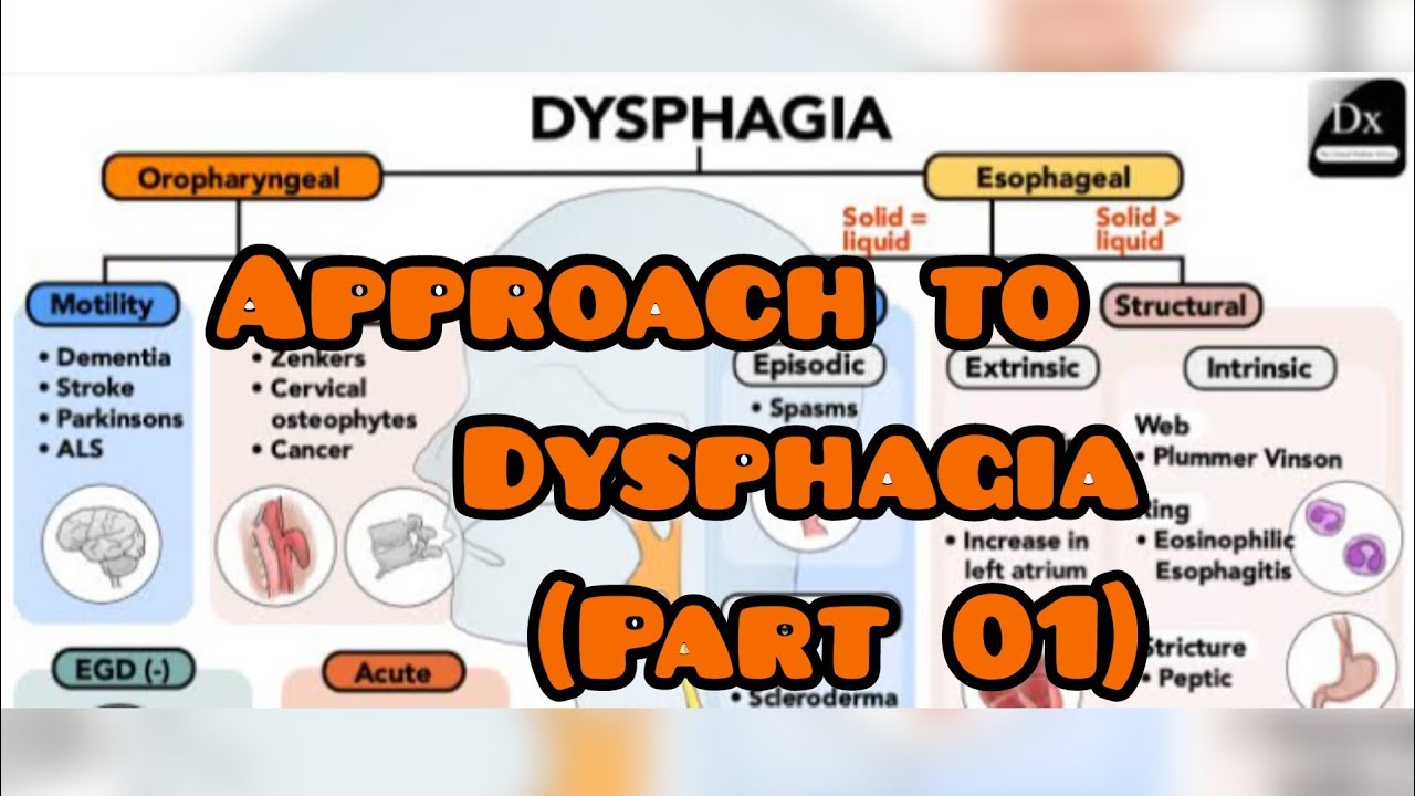 Approach to Dysphagia(Part 01:Oropharyngeal Dysphagia|GIT|Very ...