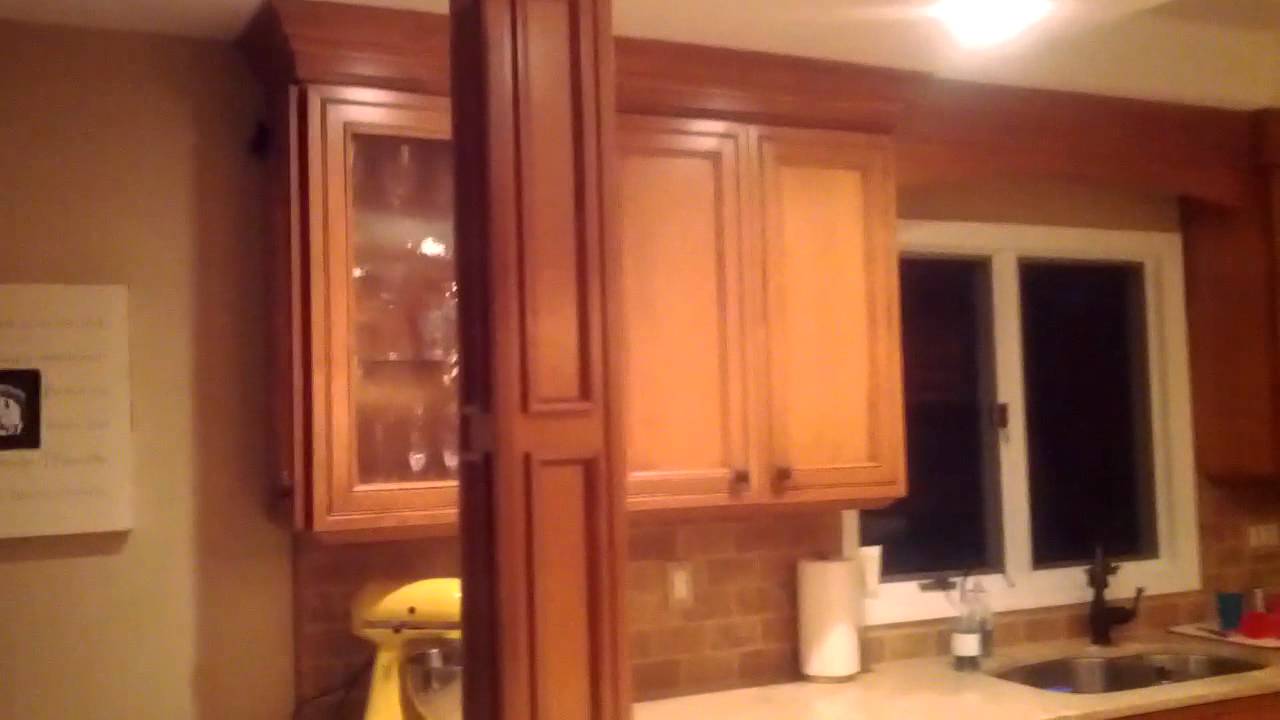 Bat in the Kitchen! - YouTube