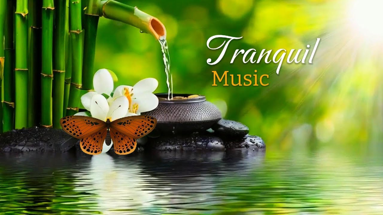 Relaxing Soundscape 🌼 Tranquil Music for Inner Harmony and Deep Healing ...