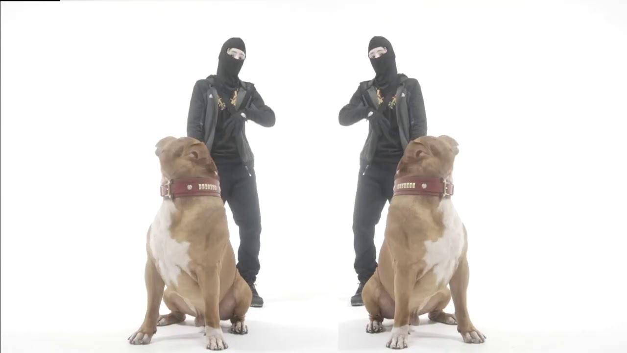 HAZEY - IF RAP DONT WORK (music video) - YouTube Music