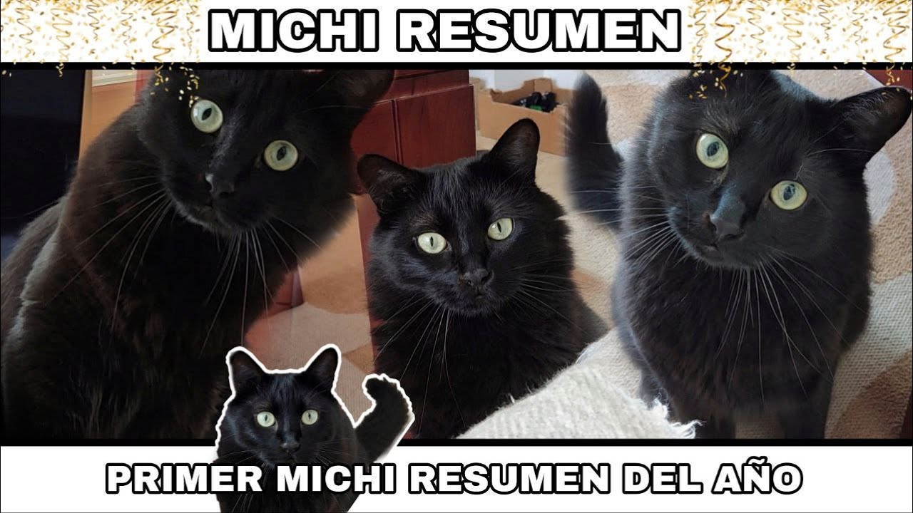 Primer MICHI RESUMEN del 2023 - YouTube