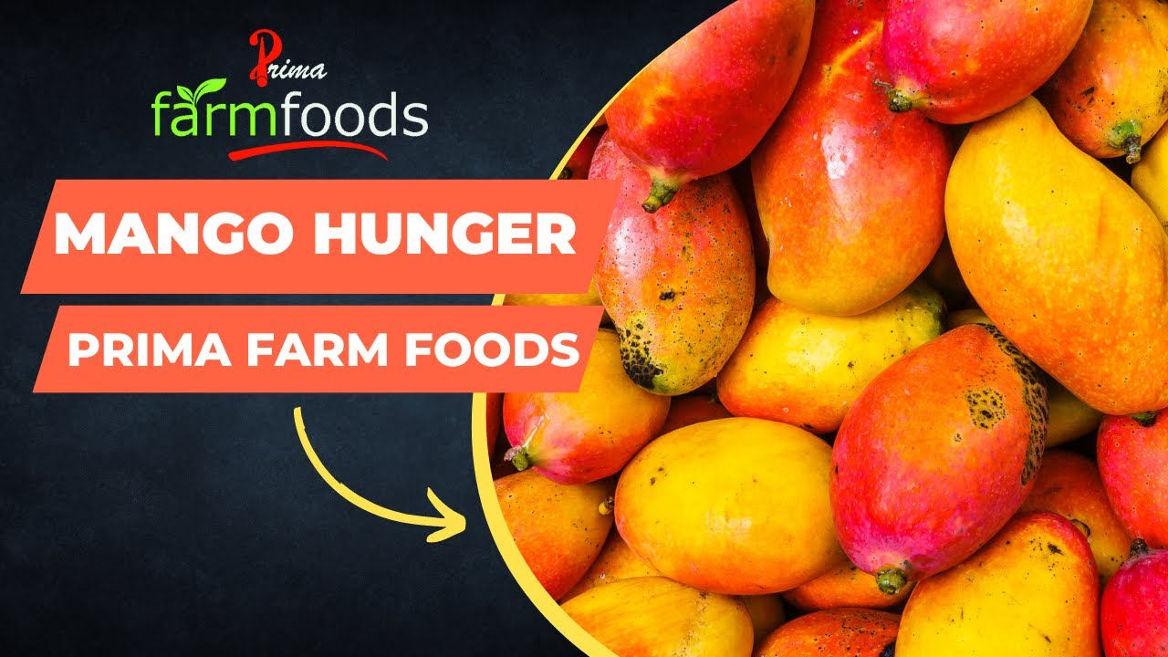 Mango Hunger- Prima Farm Foods - YouTube