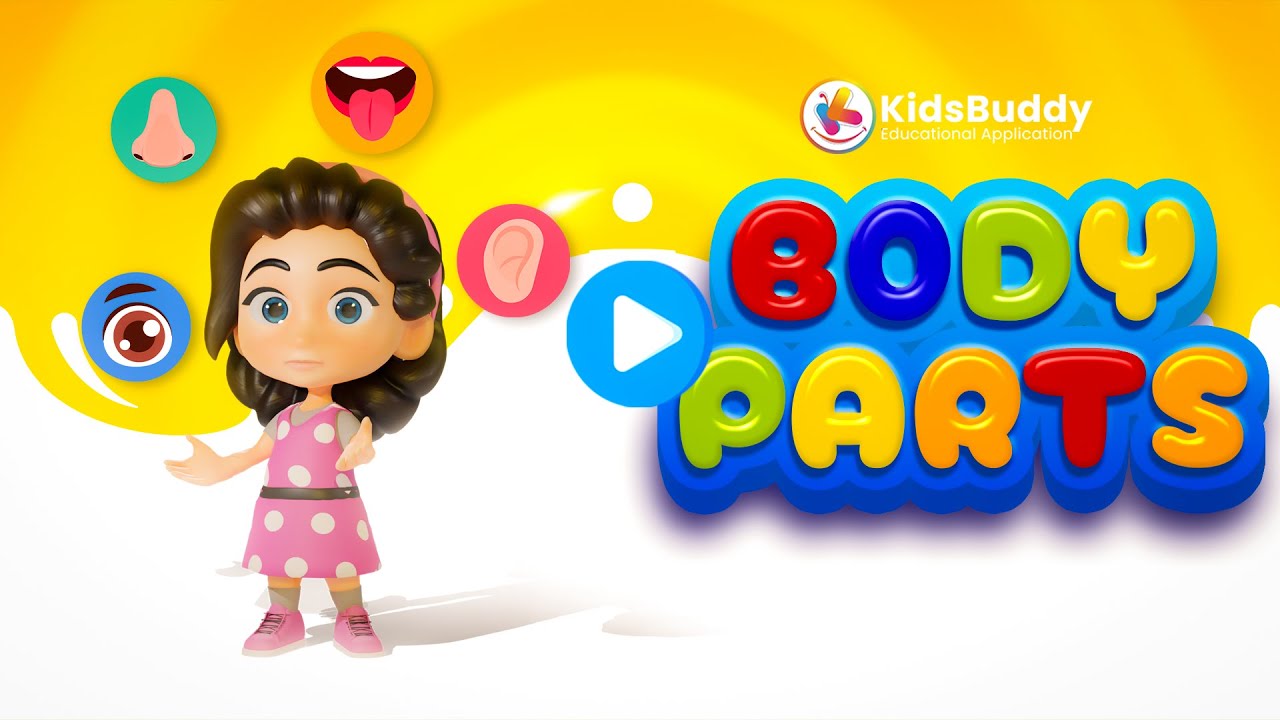 Body parts for kids | Parts of body | Kidsbuddy application - YouTube