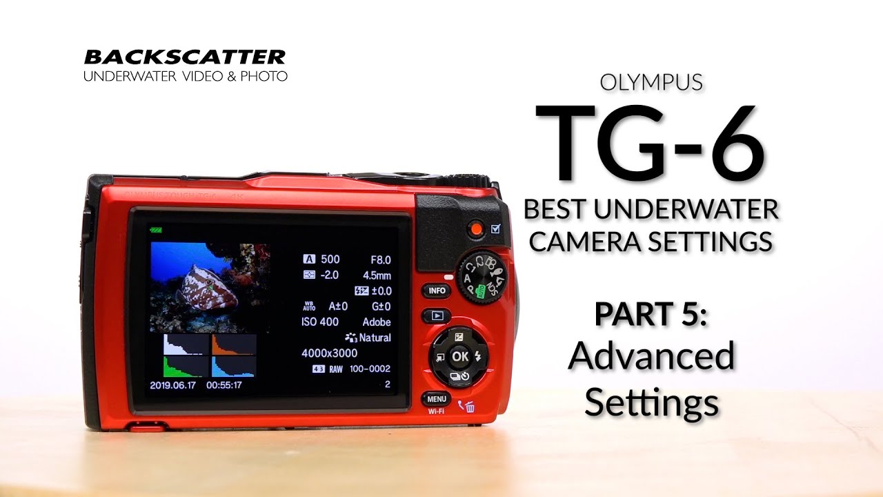 Olympus TG 6 Advanced Settings Best Underwater Camera Settings olympus-tg-6-advanced-settings-best-underwater-camera-settings