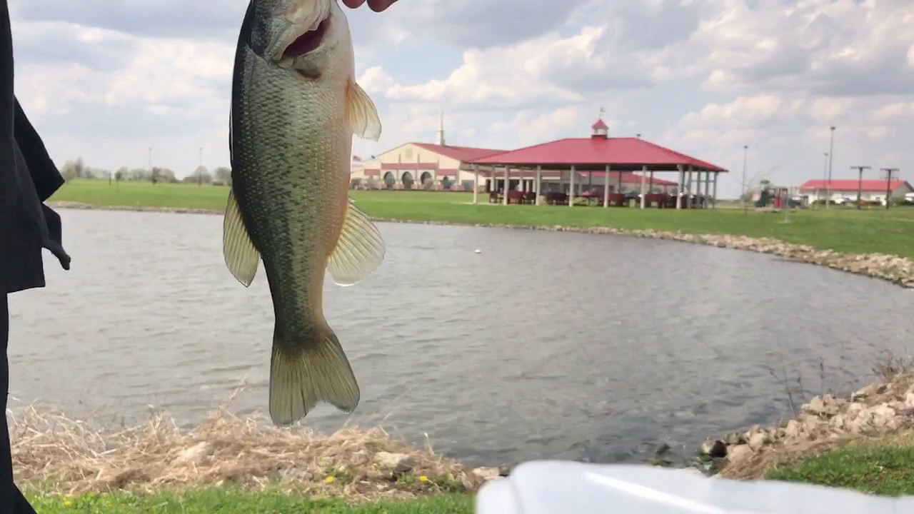 Bass fishing Decatur Illinois - YouTube