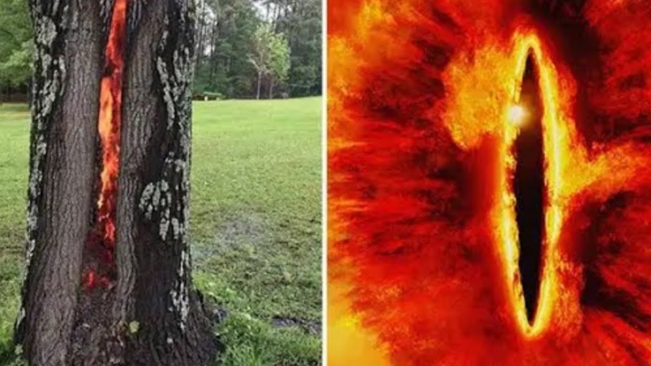 California state of emergency after I-10 plasma fire disintegration of ...