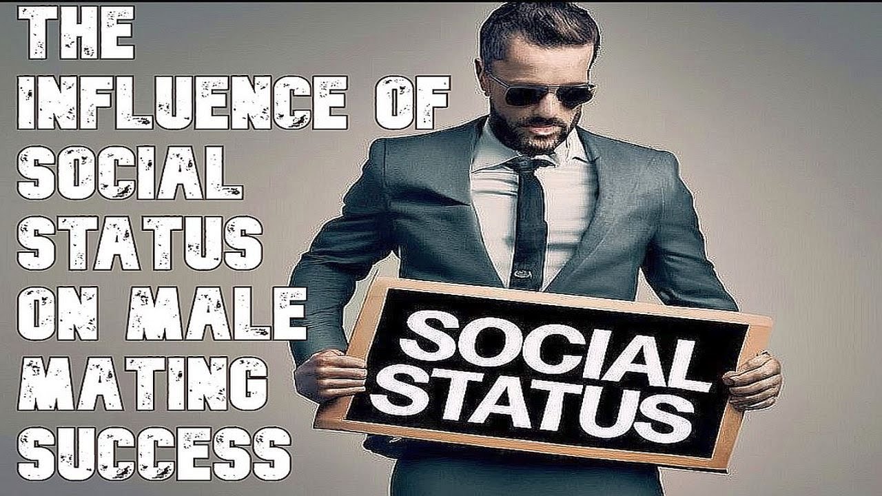 The Influence of Social Status on Male Mating Success - YouTube