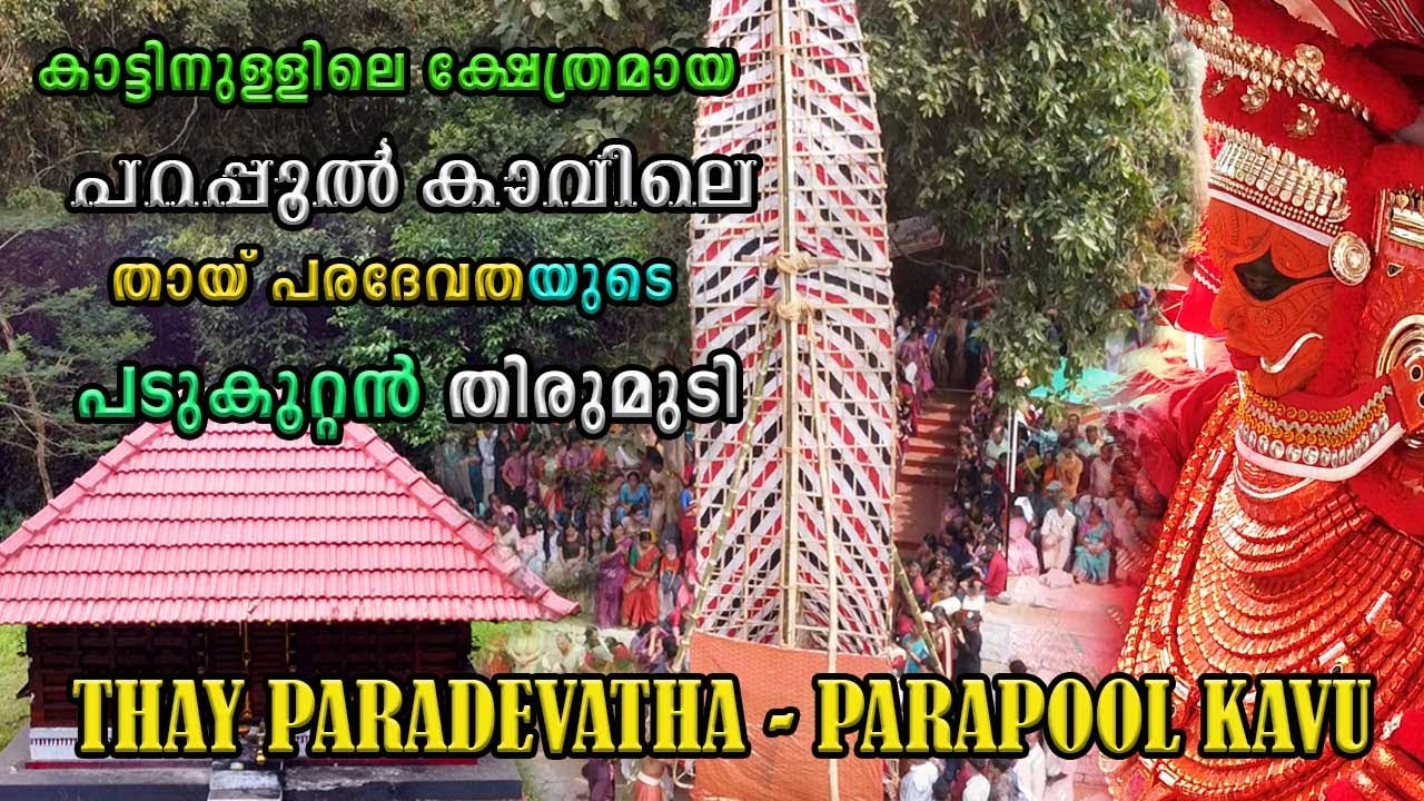 പറപ്പൂൽ കാവിലെ തിരുമുടി കണ്ടിട്ടുണ്ടോ 🥰 Parapool Kavu Thay Paradevatha ...
