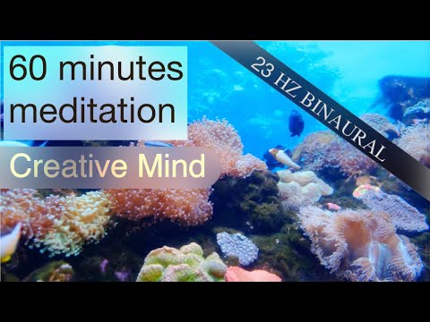 Marine life meditation - YouTube