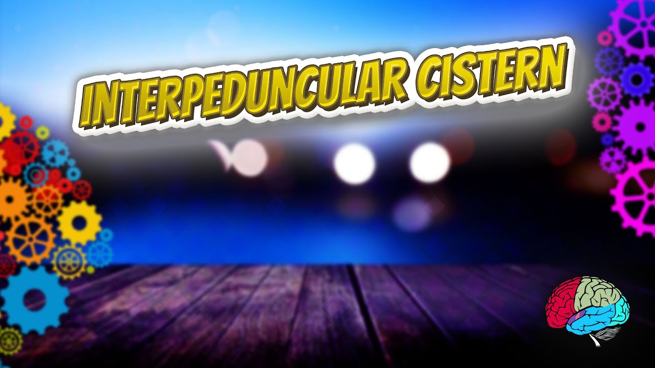 Interpeduncular Cistern - Know It ALL 🔊 - YouTube
