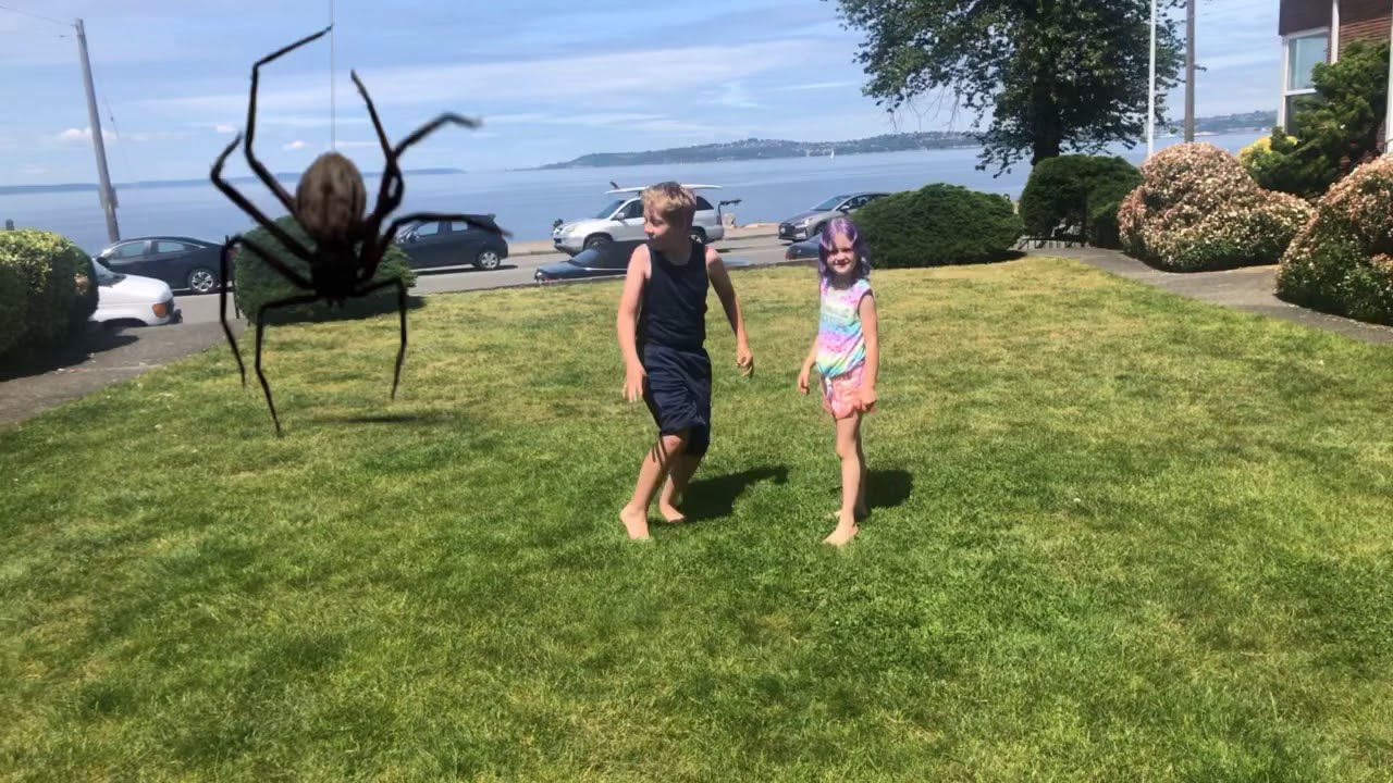 Spider Attack - RUN!! - YouTube