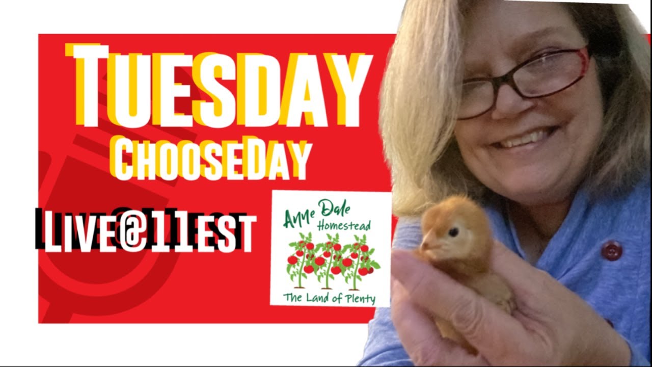 Tuesday ChooseDay #success - YouTube