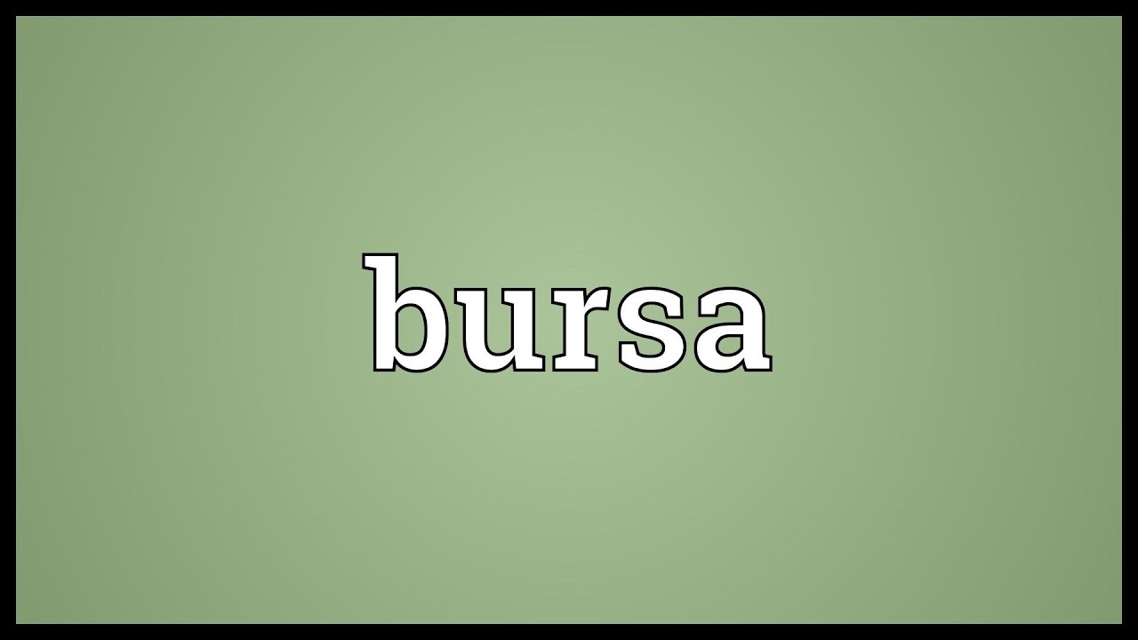 Bursa Meaning - YouTube