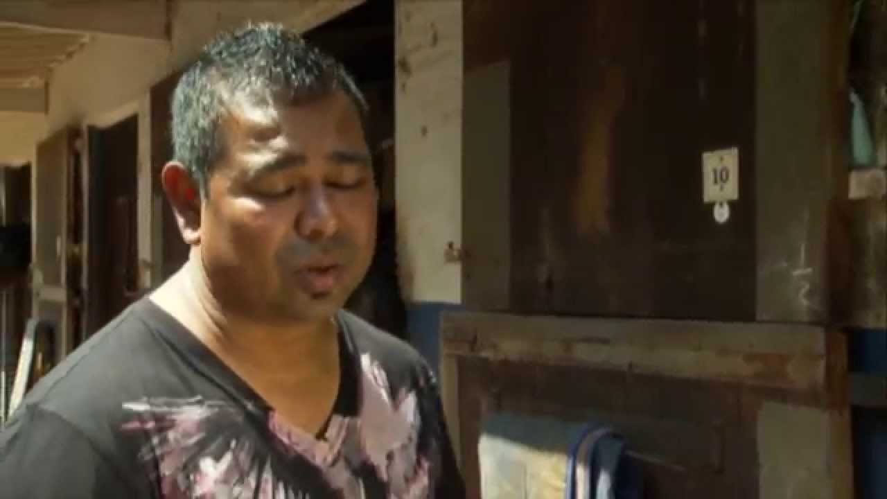 Mayesh Chetty - Horse Owner - YouTube